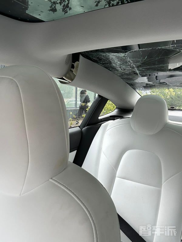 Tesla Model 3 survives storm after being hit by tree - iNEWS