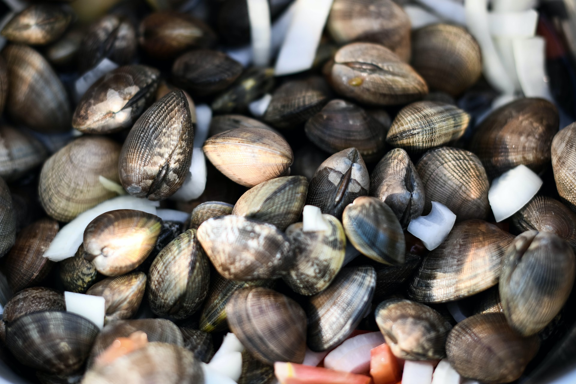 How to store unfinished clams? - iNEWS