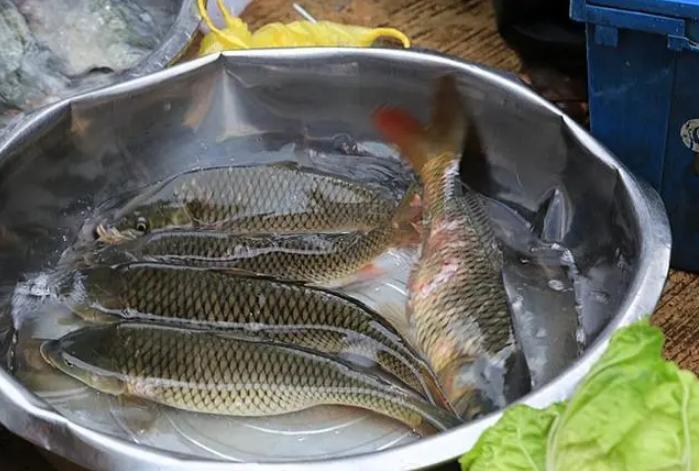 These 5 kinds of fish are all "heavy metal fish" and cannot be eaten ...