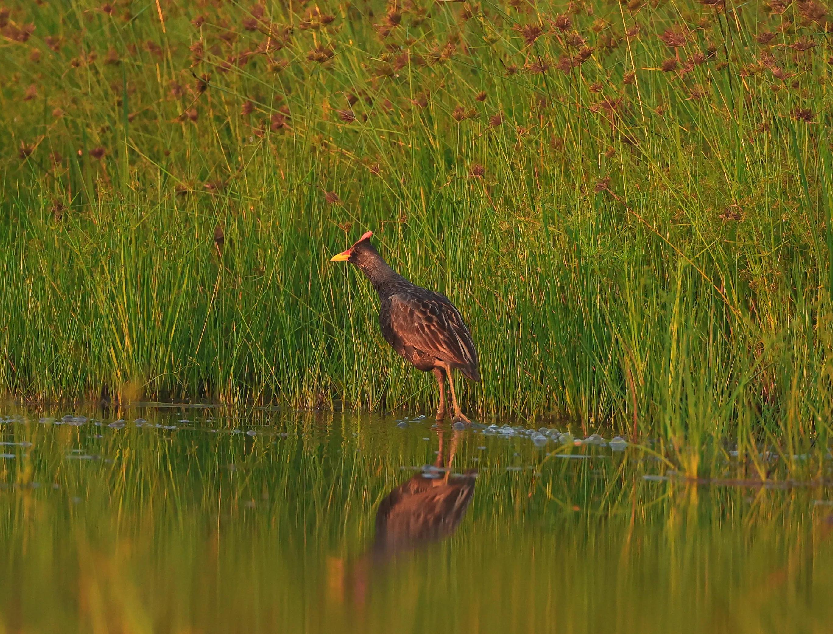 I finally met you→Dong Ji - iNEWS