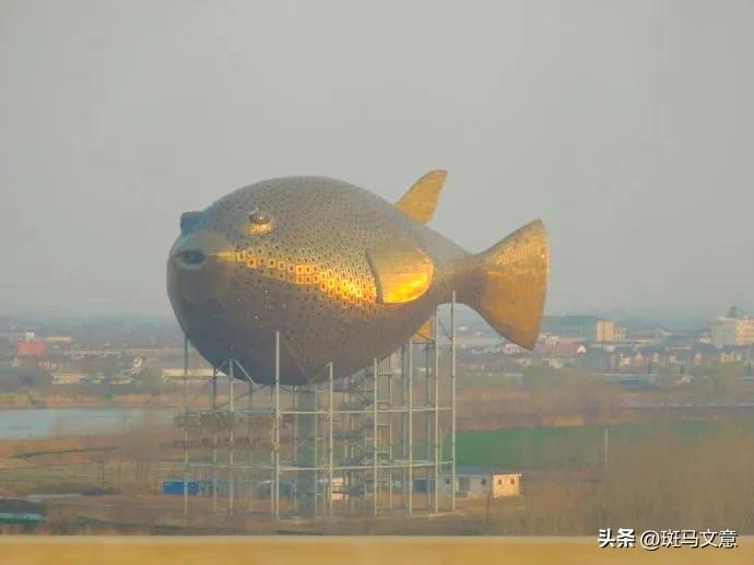 Eat puffer fish desperately, eat out culture, eat out intangible ...