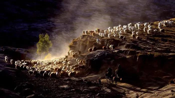 High-end delicious ingredients are here!Southern Vegetable Basket takes ...