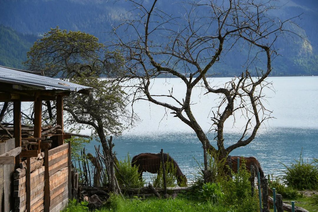 Let's go to Basongcuo - iNEWS