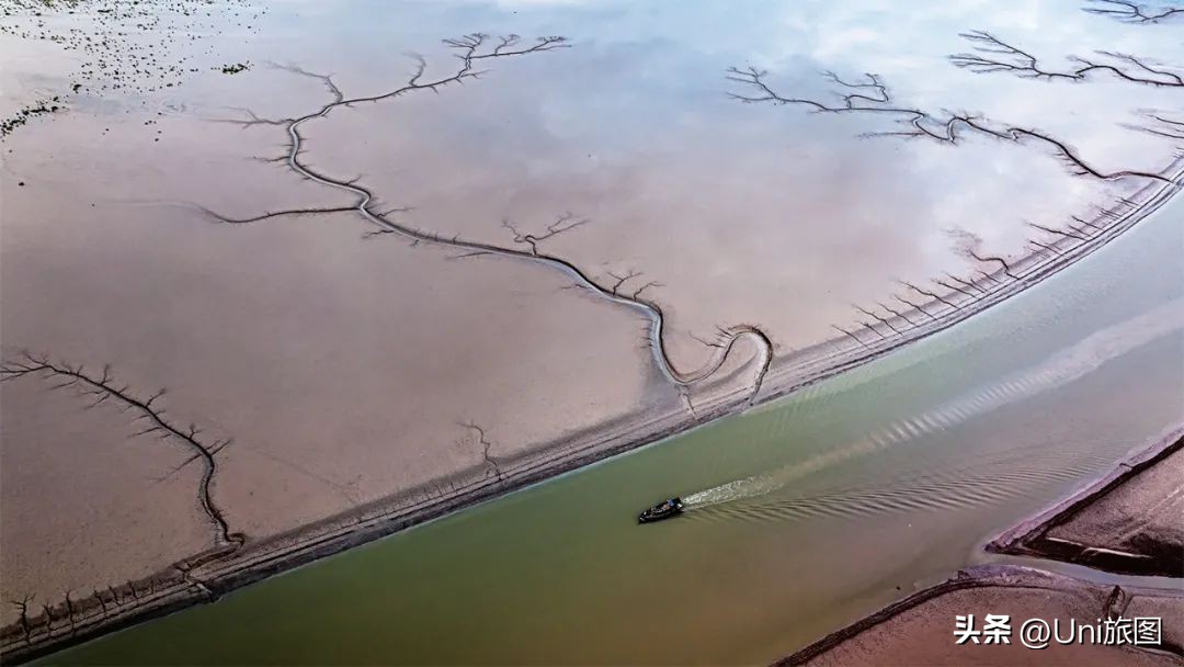 Lian Lian Travel Map - Flower season is gradually leaving, autumn wind ...