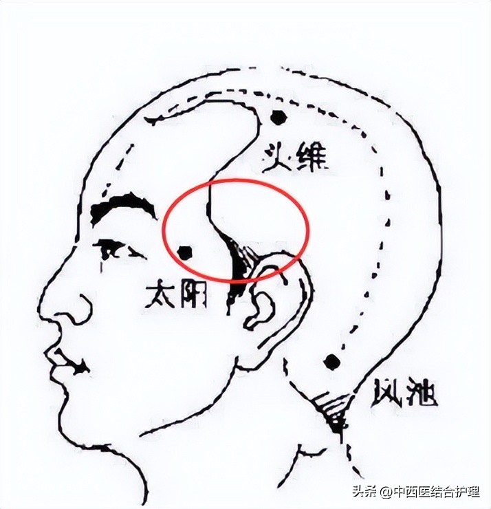 "Acupoint Health" has four acupuncture points on the hand, which can be ...