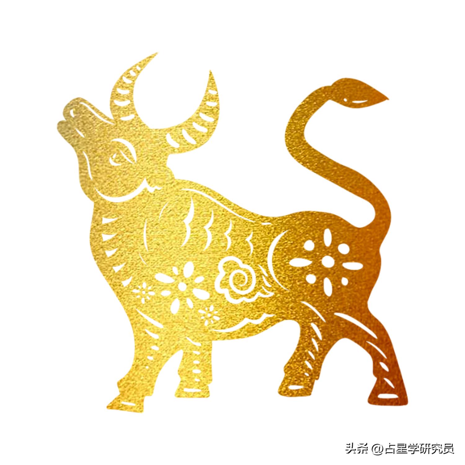 Exploring the fate map of the zodiac ox in 1973: how to start the road ...