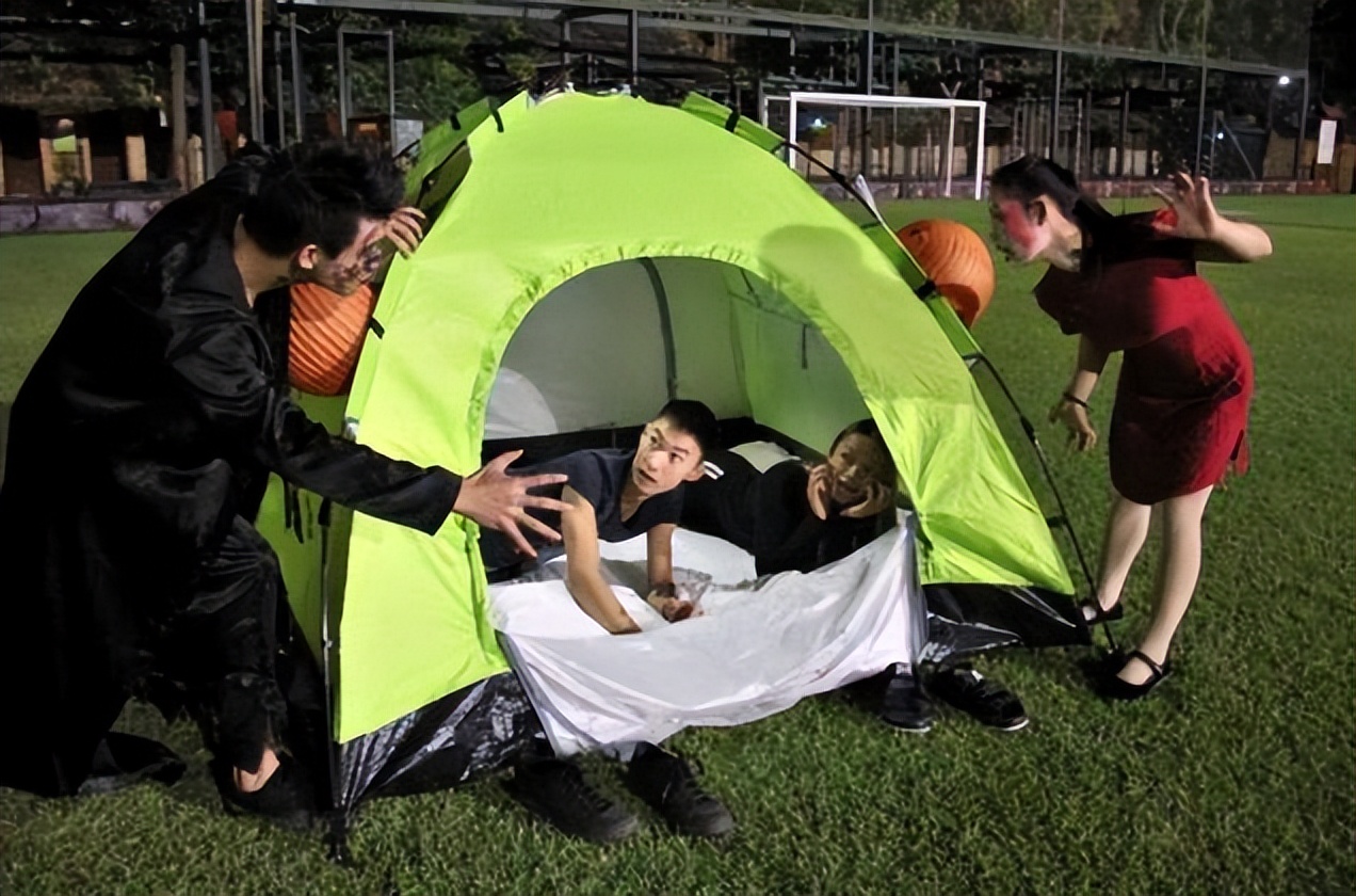 When camping outdoors, donkey friends casually "bastard" regardless of ...