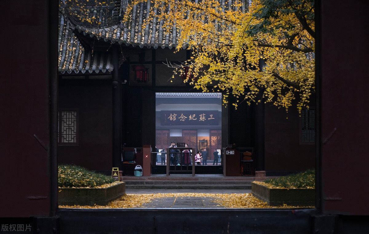 "Spiritual Art": The unknown Su Xun, exhausted his life's energy to ...