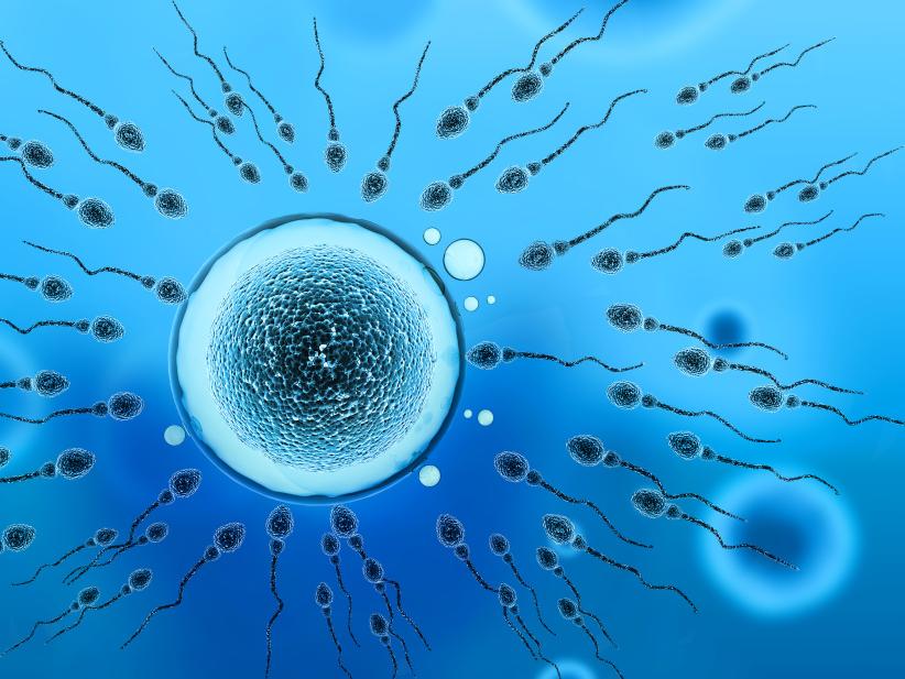 Is it premature ejaculation to be "wet" when excited?What exactly is a ...