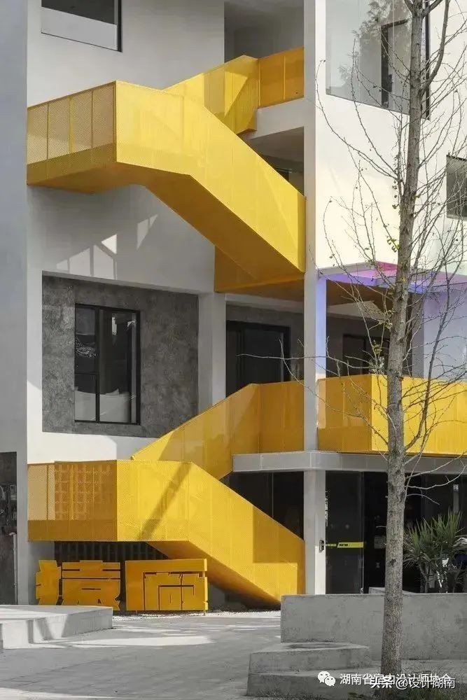 Breaking Through the Boundary of "Internet Celebrity" - Changsha Ape ...