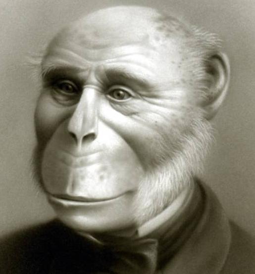 Did the human-chimpanzee hybridization experiment in the Soviet Union ...