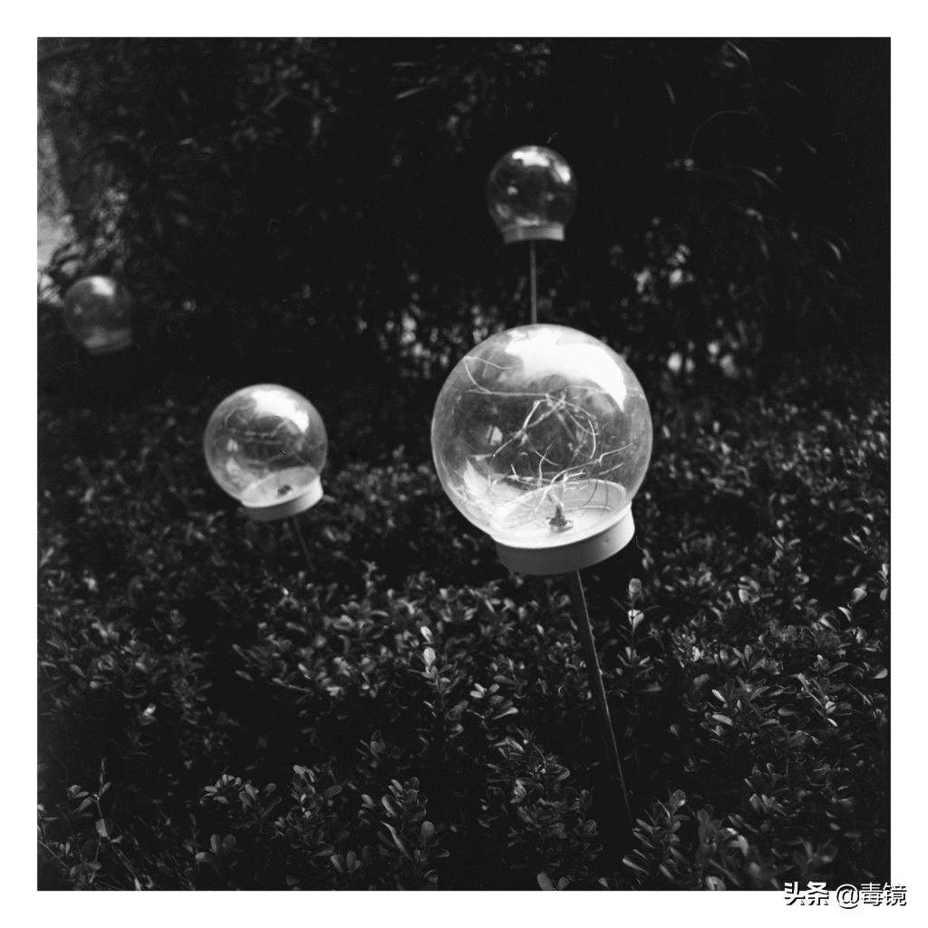 Mamiya C330 Samples: 1023 Lucky Aviation Film Samples for Film ...