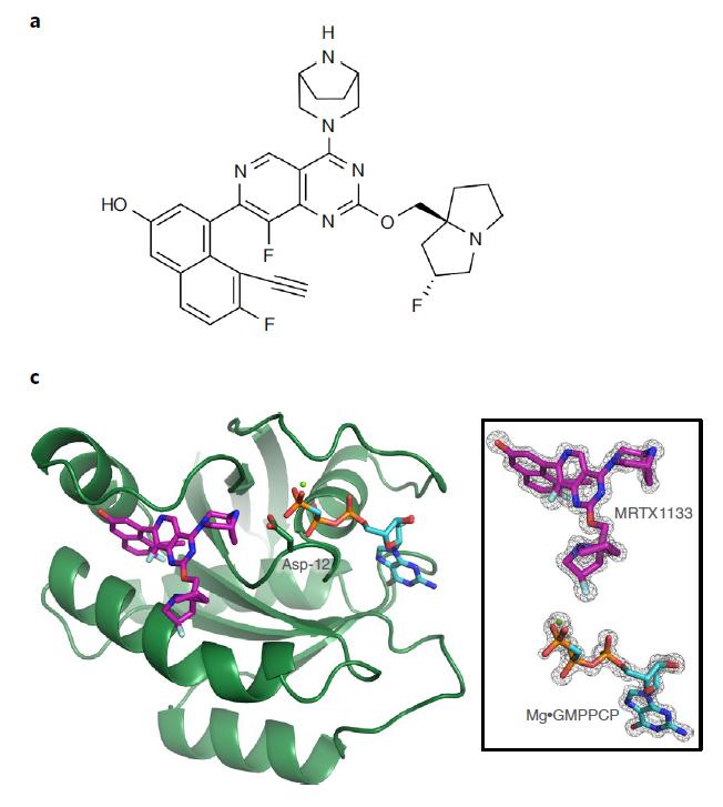 Targeting another non-druggable KRAS mutant, Mirati targets anti-cancer ...