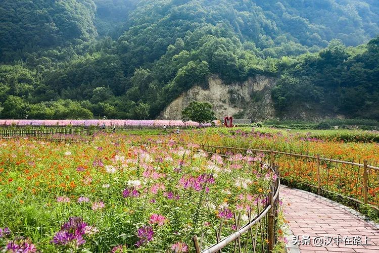 let's go!Visit the beautiful countryside of Hanzhong and meet the ...