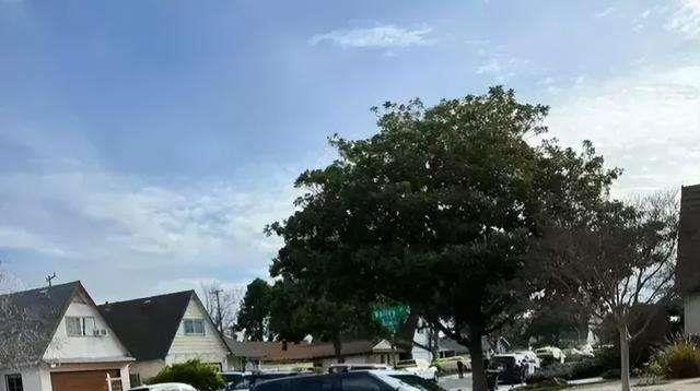 Follow-up to the murder of a female Google engineer: The murderer's ex ...