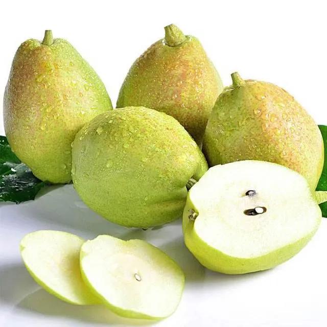 How much do you know about Chinese pear varieties - iNEWS