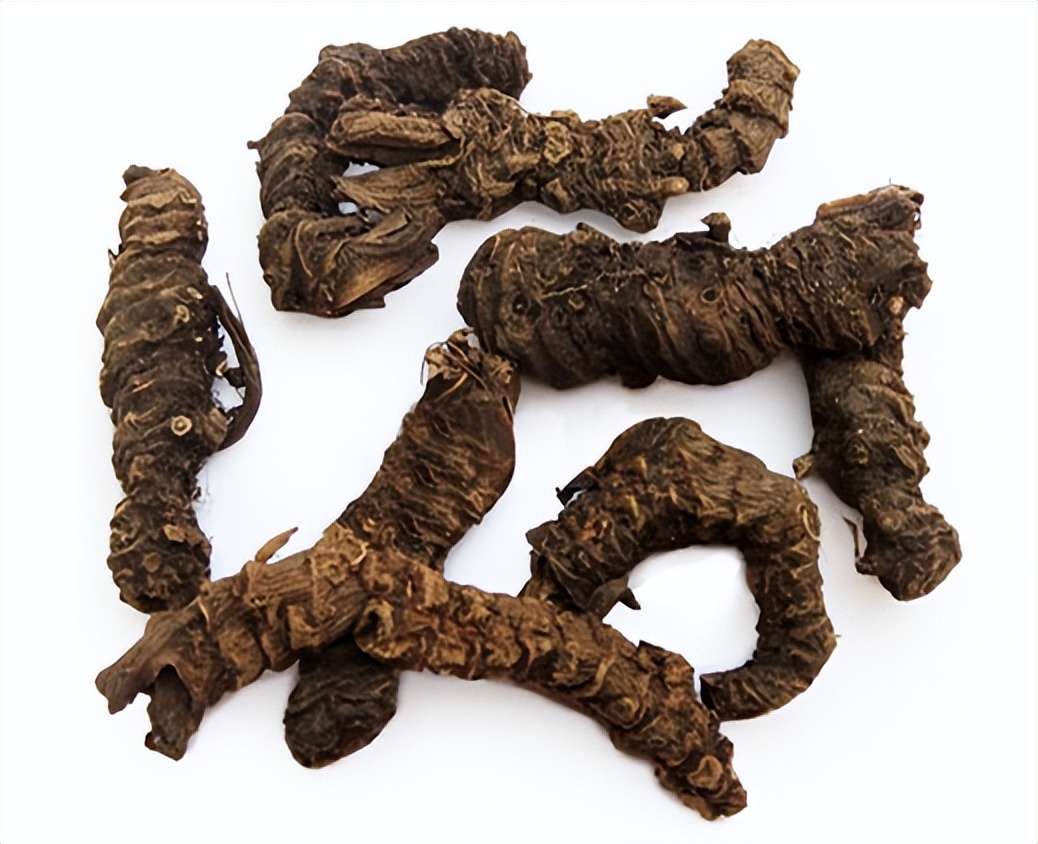 Take you to identify the spider incense - iNEWS