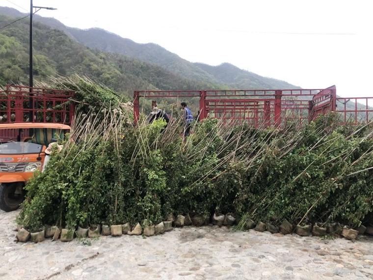 The new sceneries are full of pictures, and the "appearance" of Shaba ...