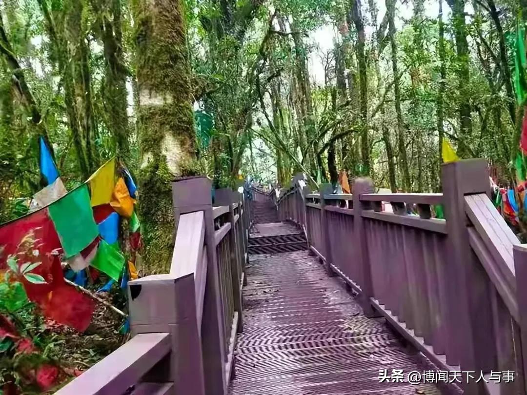 Medog Scenery Map - iNEWS