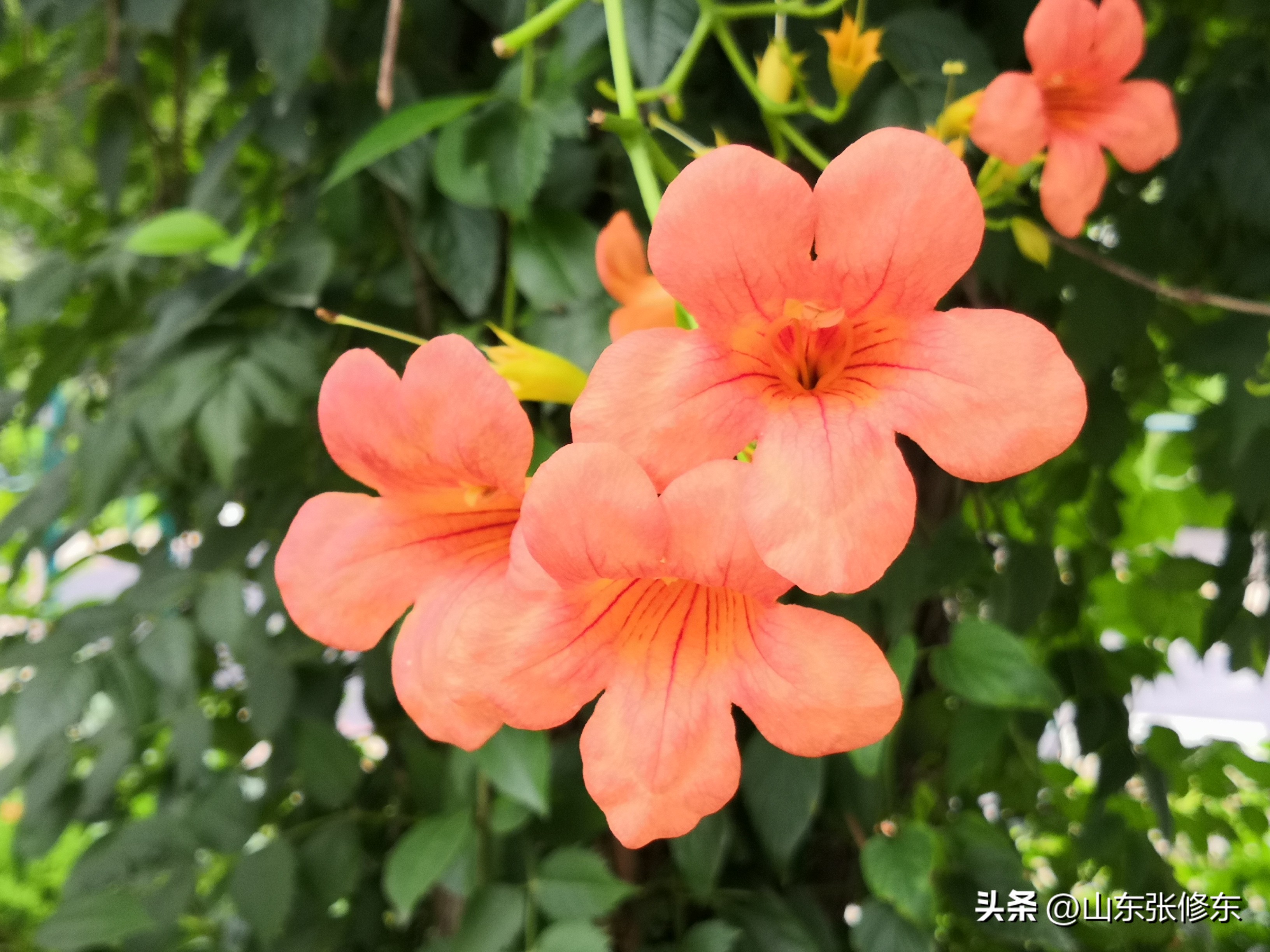 The meeting of people of the same frequency is the most beautiful ...