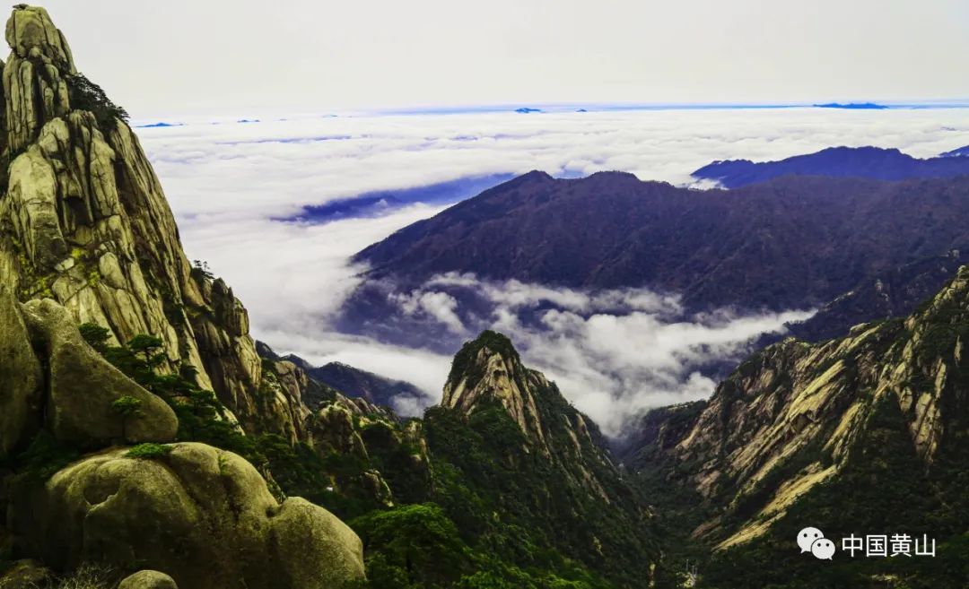 [Where is the beauty of beautiful Huangshan] Huo Jianming: Beautiful ...