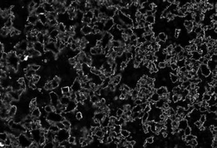 What is the effect of regulating the pore structure of activated carbon ...