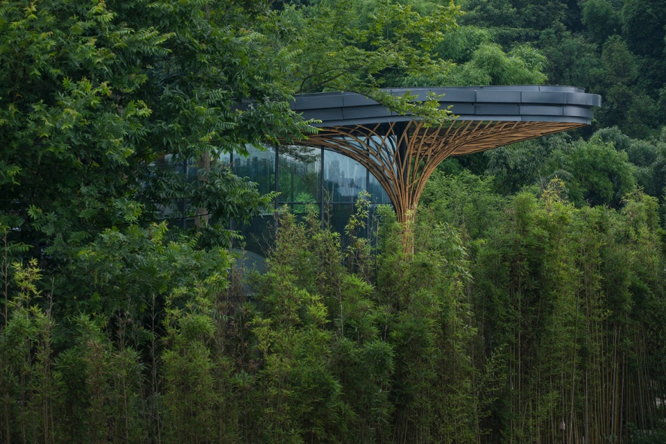 Sichuan Qionglai Bamboo Museum - iMedia
