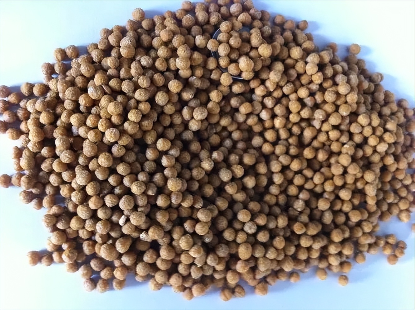 Advantages and disadvantages of extruded feed - iNEWS