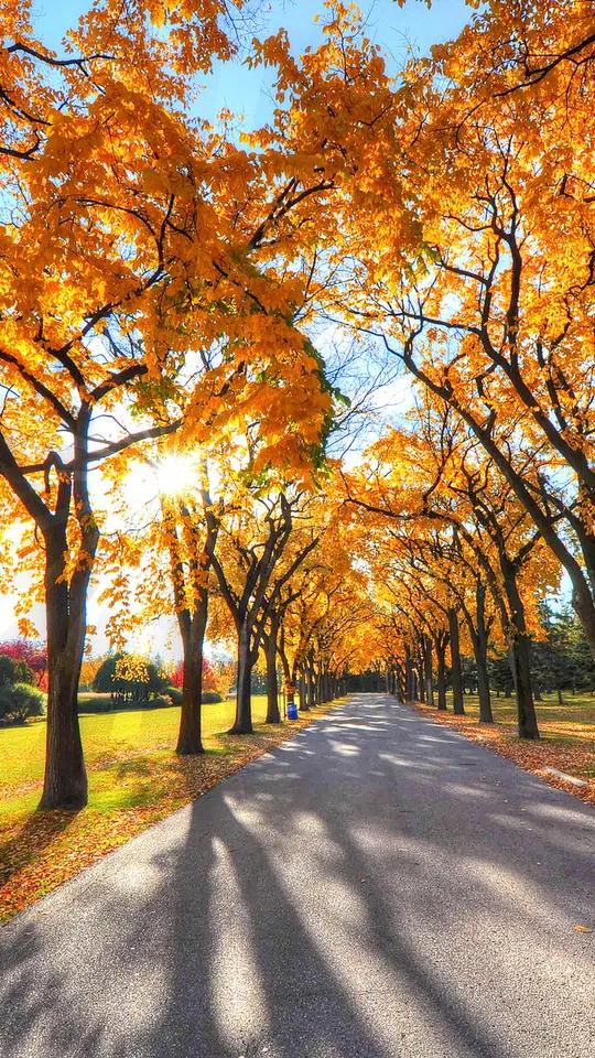 The brain tricks itself? - iMedia