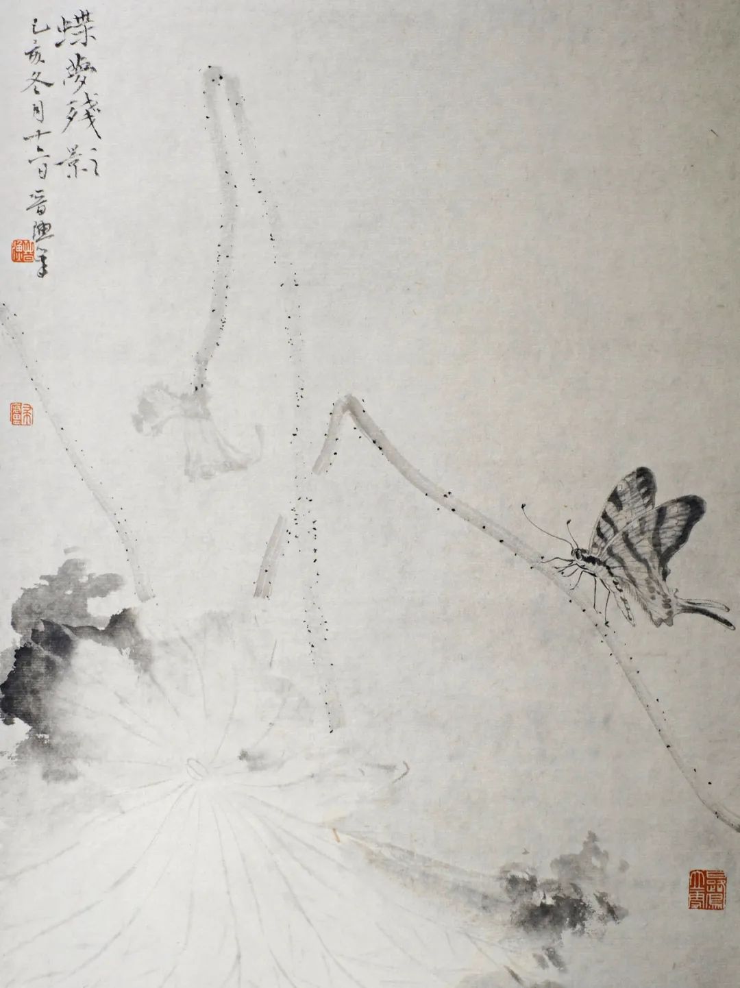 Chen Jinyu: Image of Remnant Lotus - iNEWS