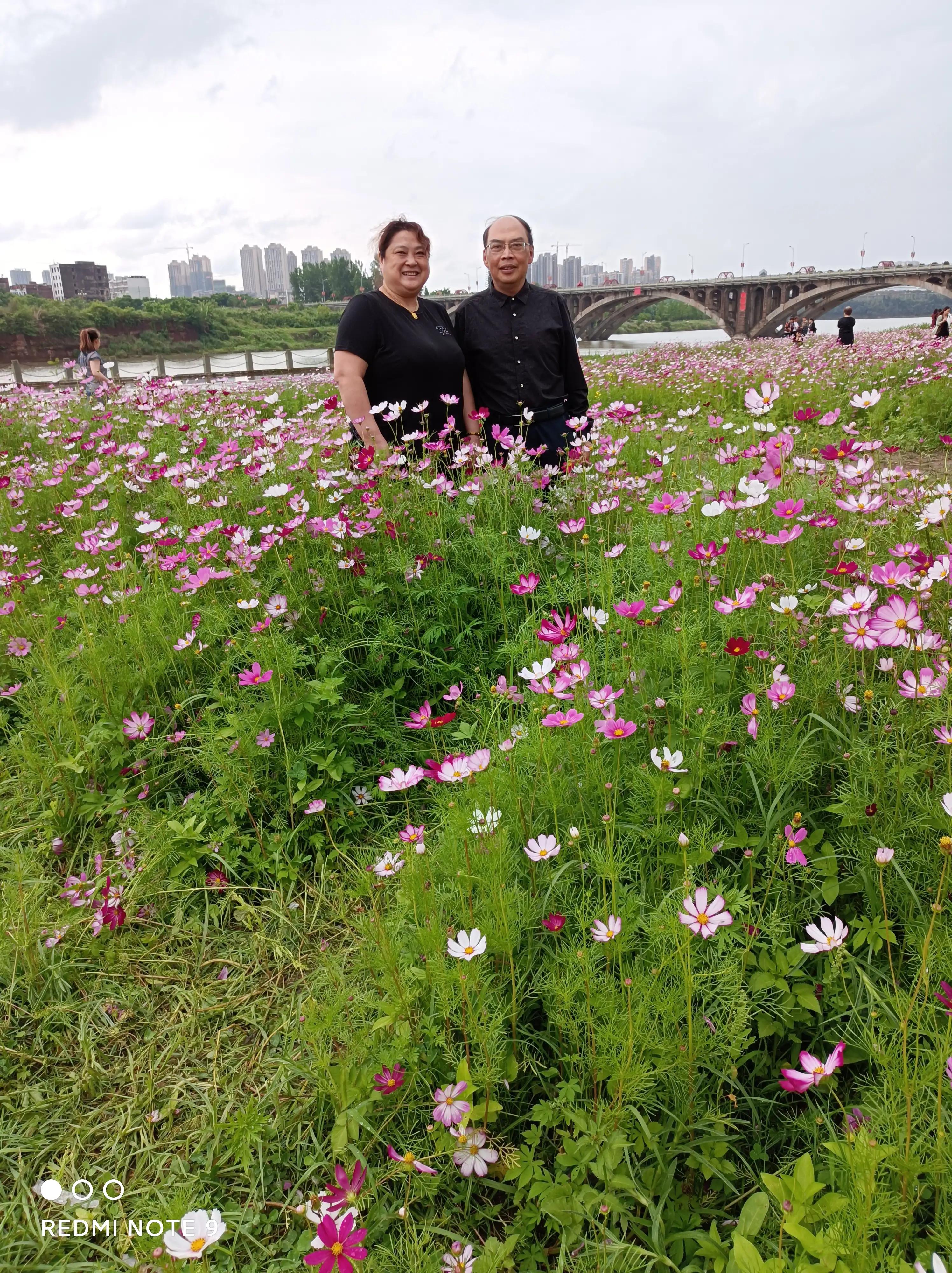 "Lang Tao Sand. Self-deprecating" imitation gold. Duan Chengji "Lang ...