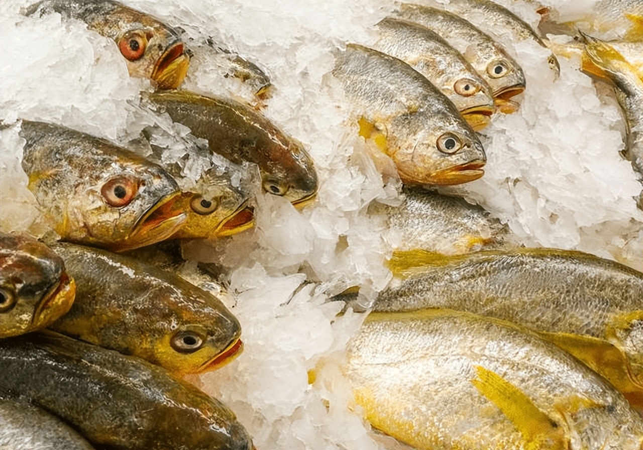 Eat more of these 5 kinds of sea fish in autumn. They are fresh, plump ...