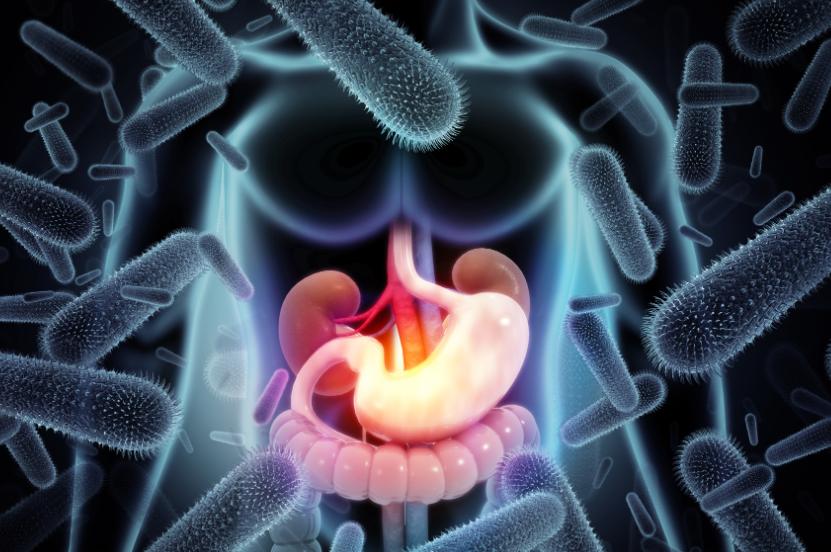 Are you caught in the high incidence of diseases in summer? - iNEWS