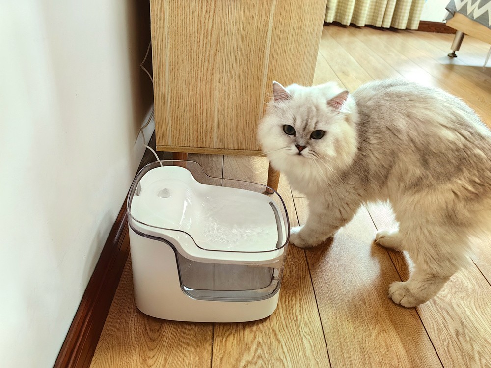 Simulate natural waterfall running water, let cats love to drink water ...