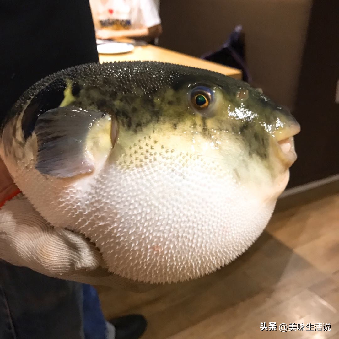 A restaurant specializing in fugu cuisine, with braised and white sauce ...