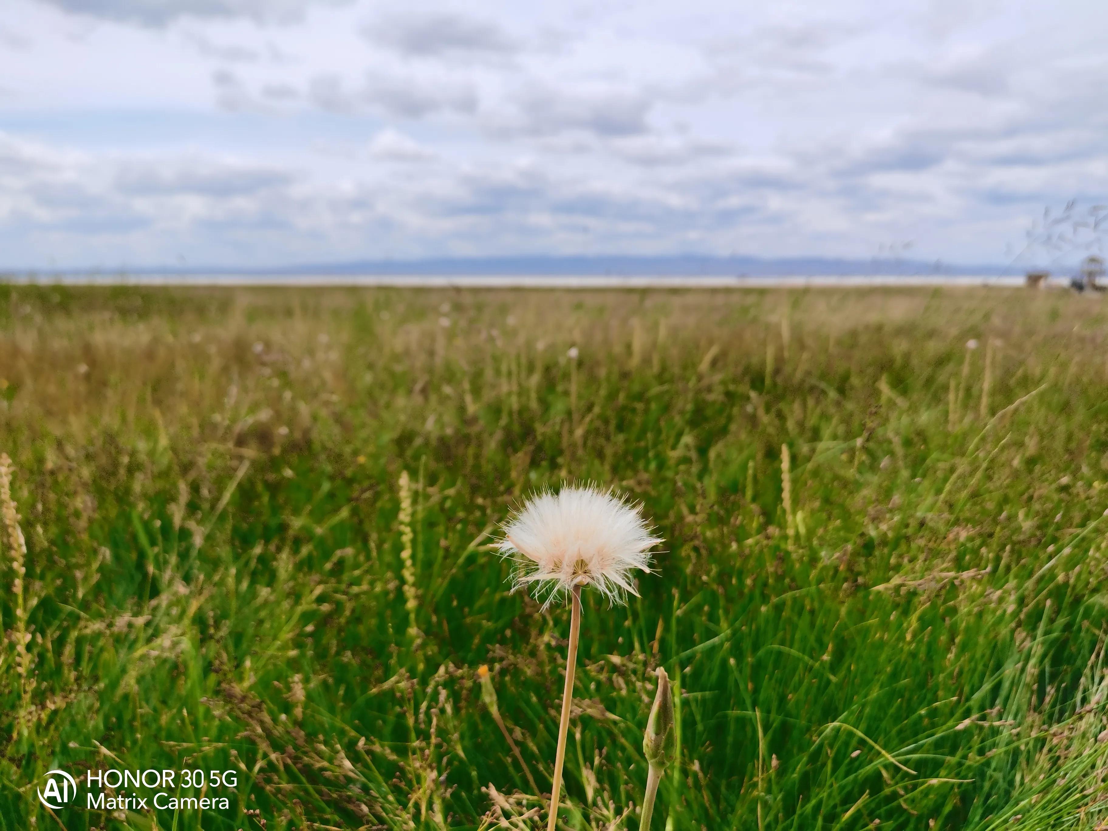 Balikun Lake, a lake that is about to be completely saline - iNEWS
