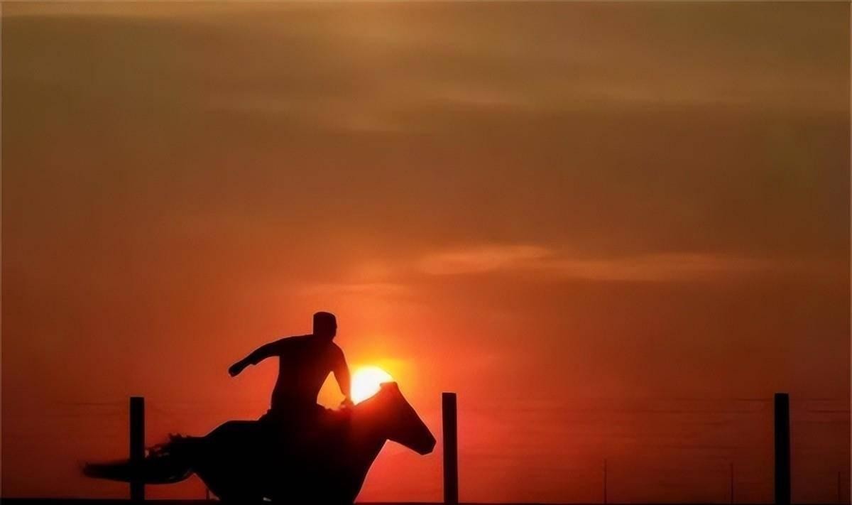 The warhorse suddenly lost control and ran back. The commander thought ...