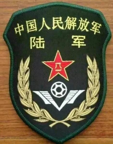 Evolutionary history of the Army chest badge - iNEWS