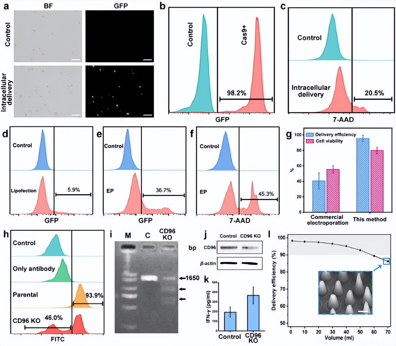 Tsinghua University has made important progress in cell transfection ...