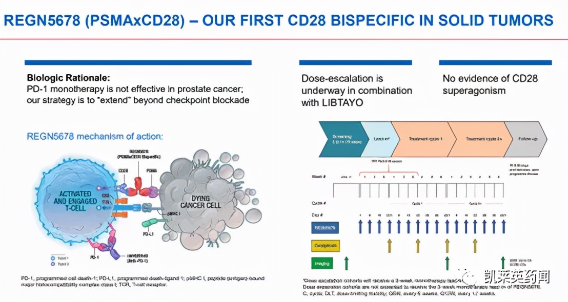 Focus on drug targets: From diagnosis to treatment, the latest research ...