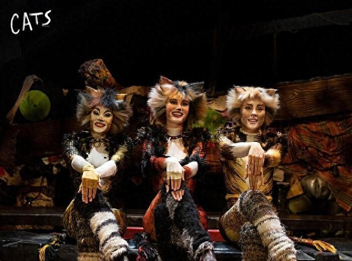 The classic original musical "Cats" will be performed in Shenzhen for ...