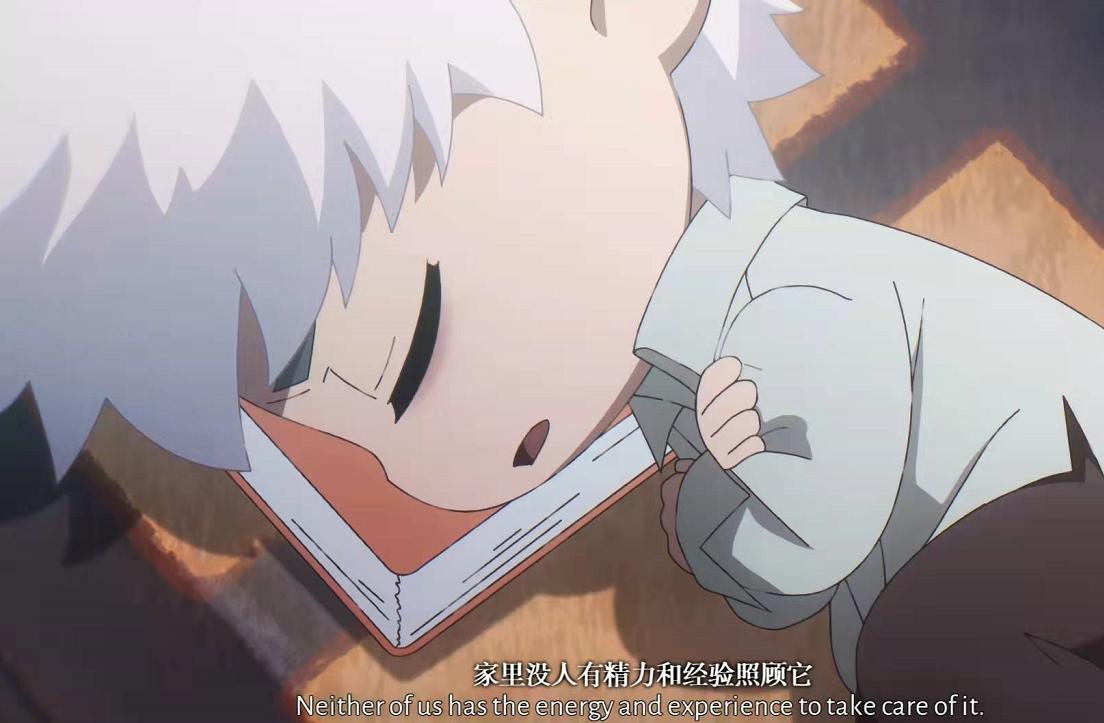 Time Agent: Lu Guang turned out to be a cat control, Cheng Xiao fell ...