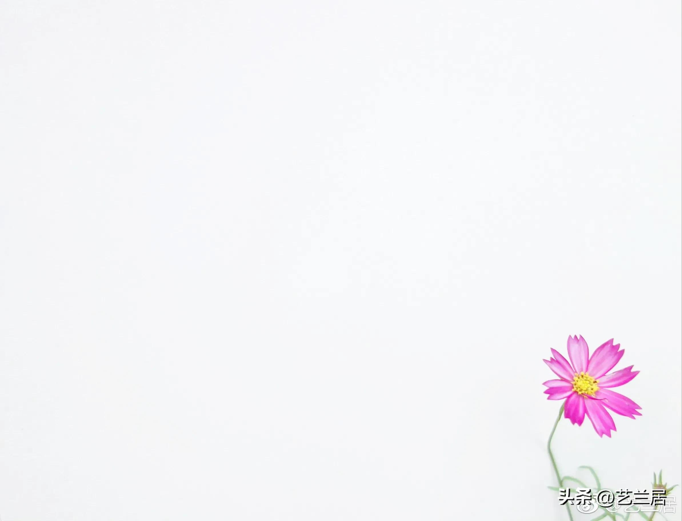Gesanghua in my eyes has small emotions! - iMedia