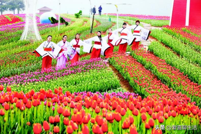 Today, February 12th Flower Festival, "do 2 things and eat 3 things" to ...