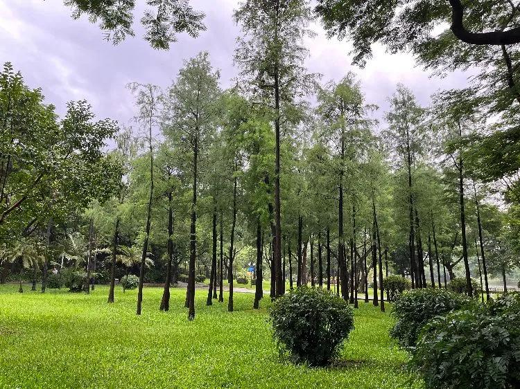 Twelve famous scenic spots in Haizhu District, Guangzhou - iNEWS