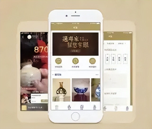 Who are the well-known experts identified by the Domain Check Platform ...