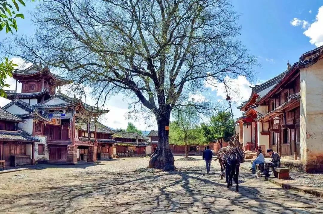 Visit Shaxi Ancient Town with Liu Yifei and Li Xian - iMedia