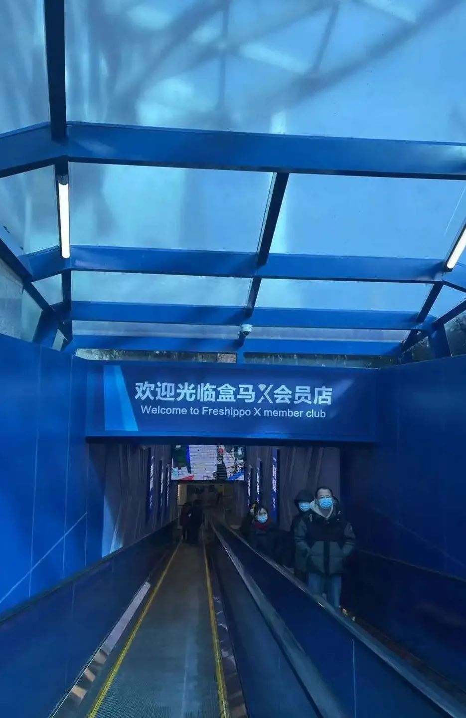 Nanjing Suguo is "cold", who is to blame? - iNEWS