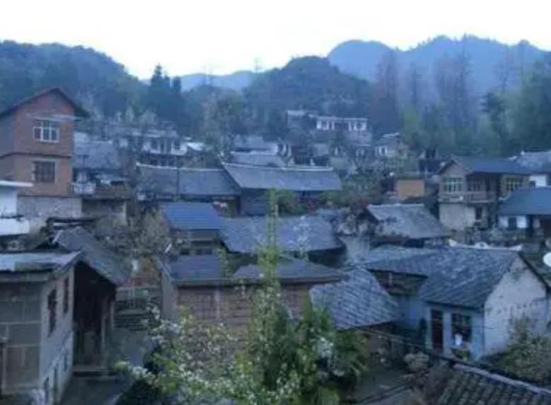 A mysterious tribe of 670,000 people: The mandrill is used as a totem ...