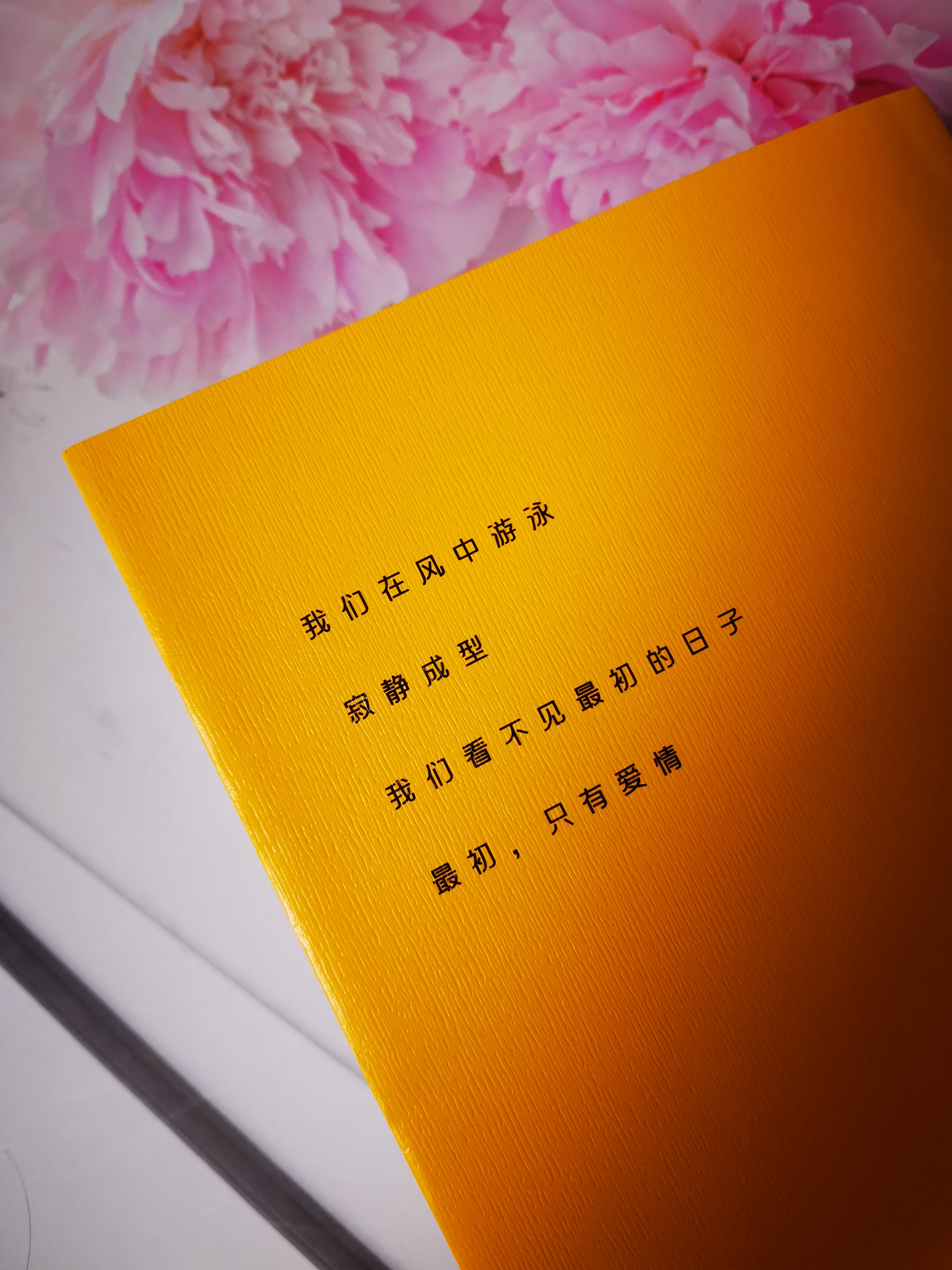 He is Gu Cheng, a genius in the eyes of the world, but also a lunatic ...